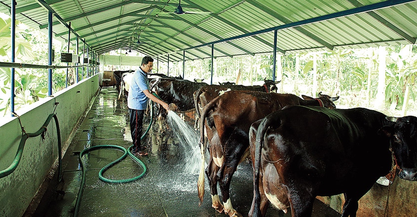 ഡെയറി ഫാമിന് ജൈവസുരക്ഷ | Diary Farm