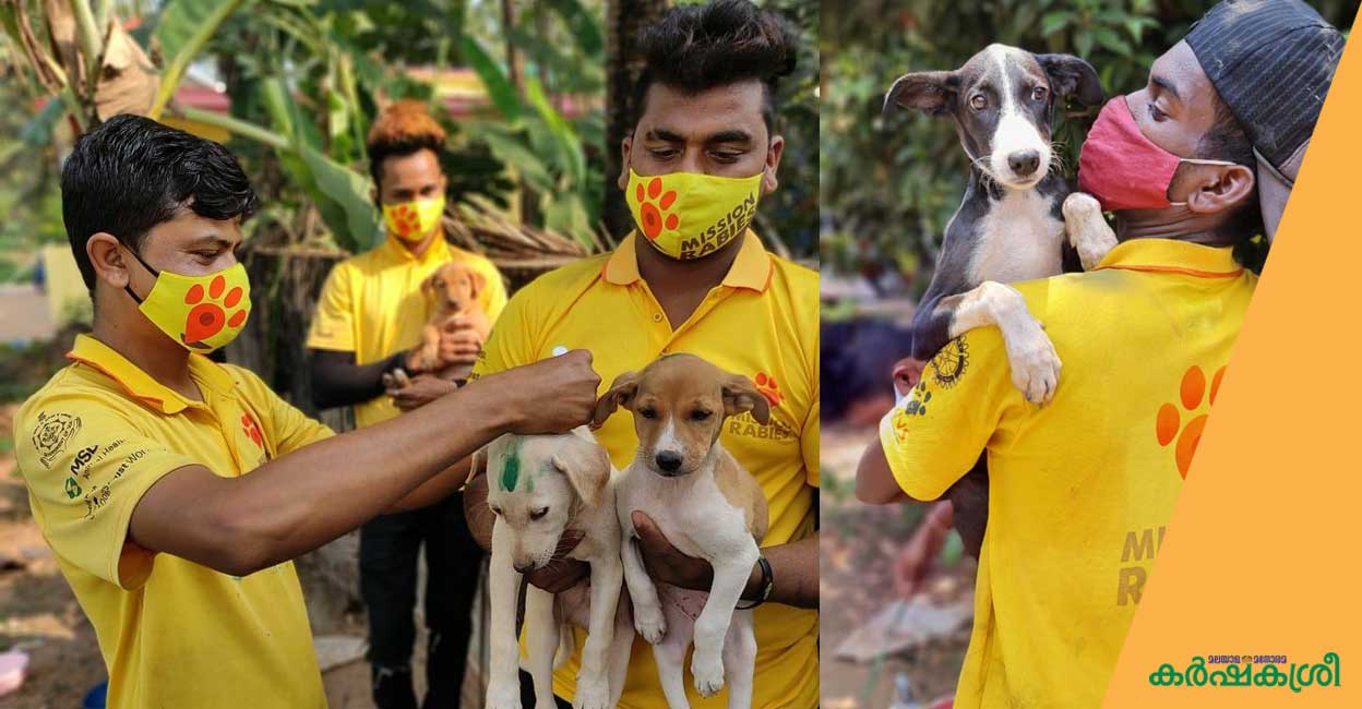 പേവിഷവിമുക്തി നേടി ഒരു സംസ്ഥാനം; ഇത് വ്യത്യസ്തമായ പ്രതിരോധമാതൃക ...
