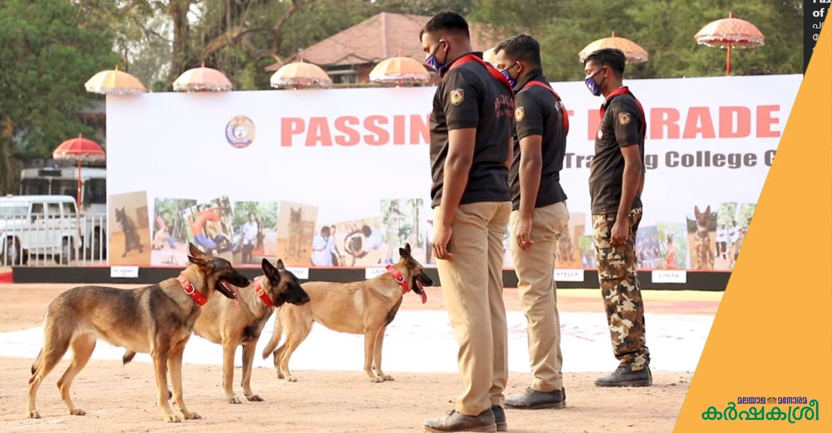 പുതിയ പൊലീസ് നായ്ക്കൾക്കു നിലവാരമുണ്ടെന്ന് ഡോക്ടർ; സേനയിൽ അന്വേഷണം ...