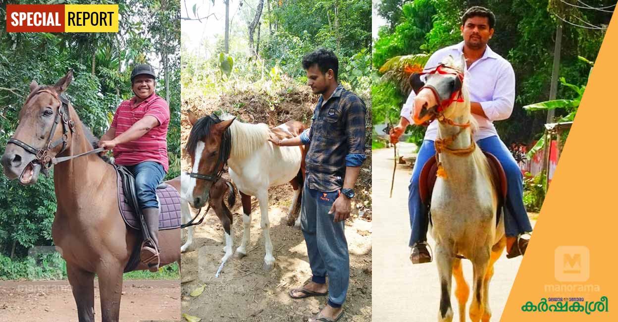 ചെങ്ങന്നൂരിൽ കേൾക്കാം കുതിരക്കുളമ്പടി; ഇത് കേരളത്തിലെ കുതിരപ്രേമികളുടെ ...