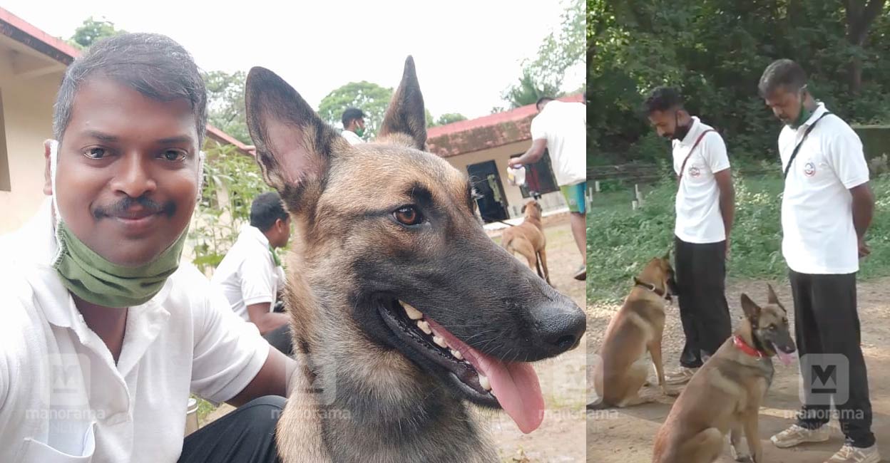 മായയും മര്‍ഫിയും: കേരള പൊലീസിന്റെ അഭിമാനമായ കഡാവർ നായ്ക്കള്‍ - Kerala ...