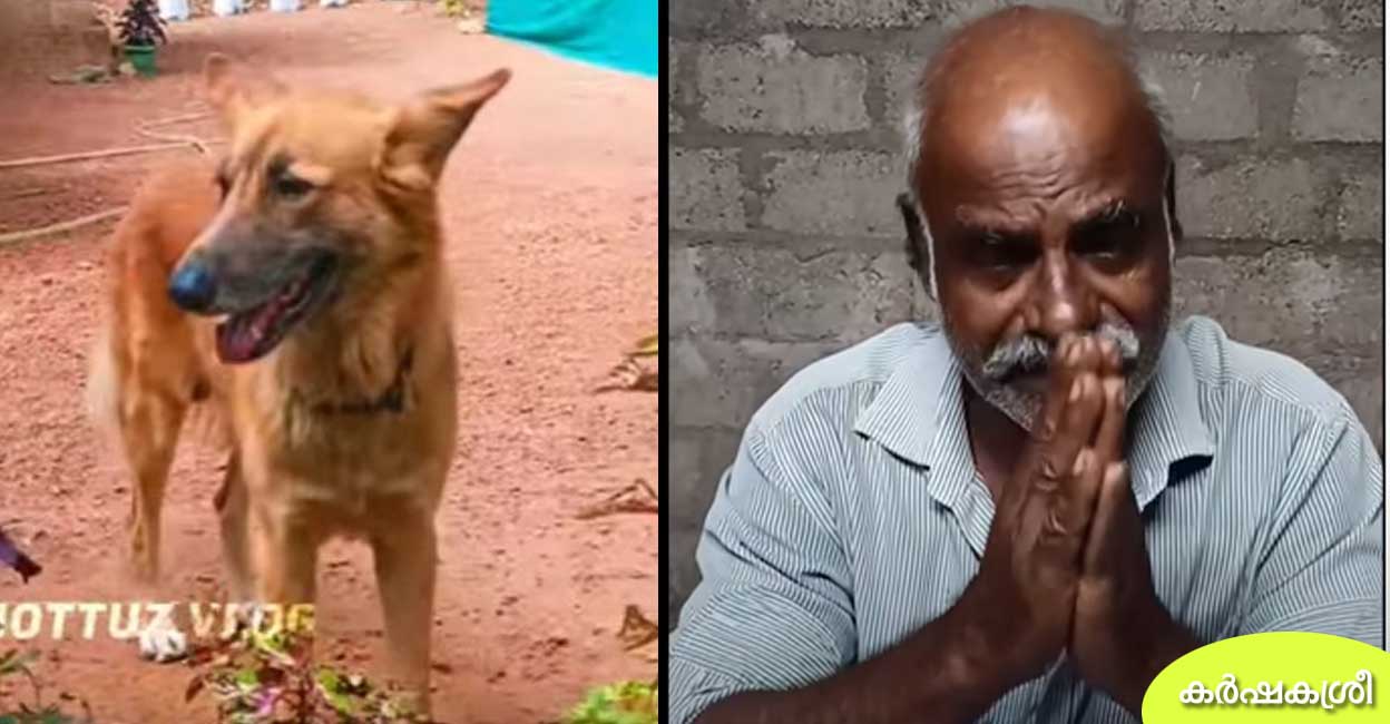 ഞങ്ങളുടെ ദുഃഖം മനസിലാക്കൂ, ചോട്ടുവിനെ തിരികെ തരൂ... കേസെടുക്കില്ലെന്ന് ...
