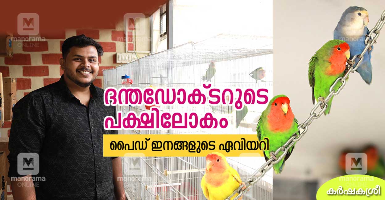 പക്ഷികളെ വളർത്തി ഡോക്ടറായി: പക്ഷിവിശേഷങ്ങളുമായി ദന്തഡോക്ടർ | Pied ...