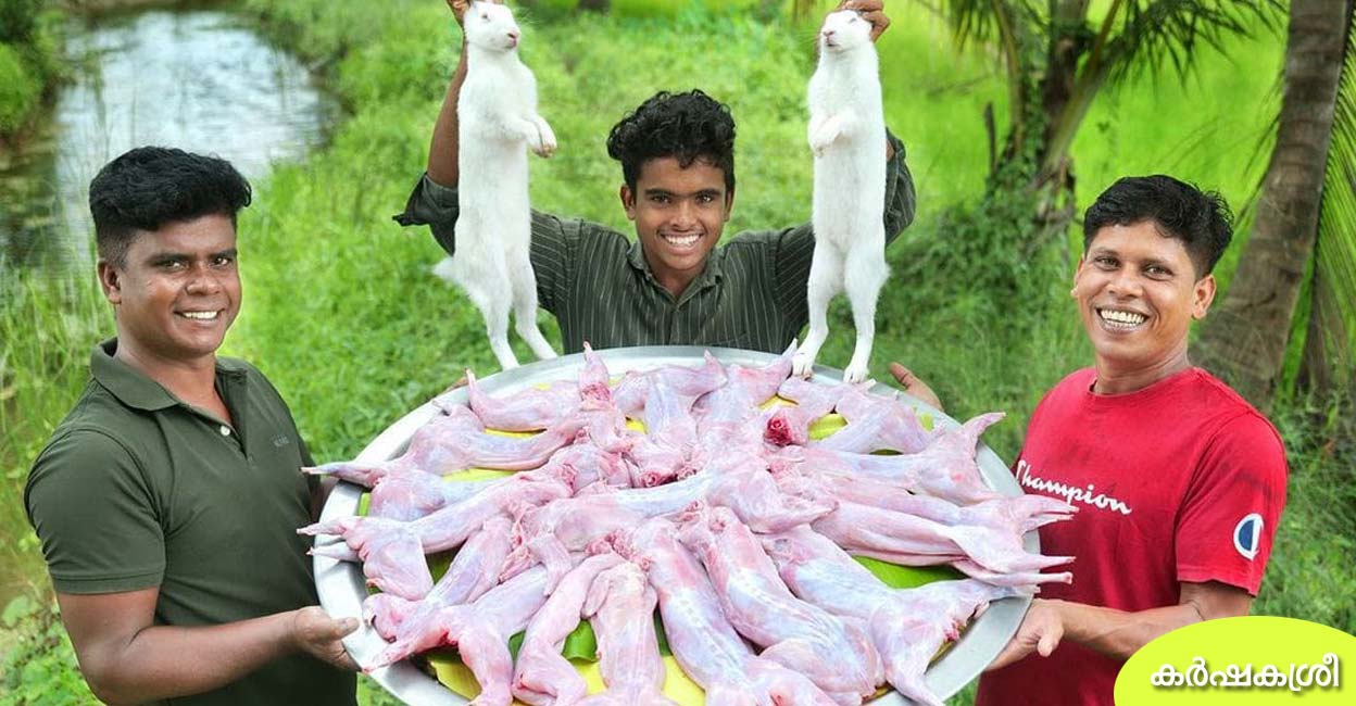 കൊതിയൂറും മുയൽ ബിരിയാണി തയാറാക്കി ഫിറോസ്: ബ്രോയിലർ മുയലുകൾ ഇവയാണ് ...