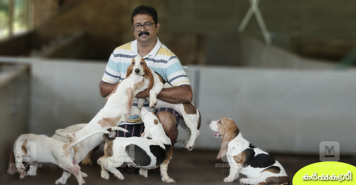 ലക്ഷങ്ങൾ വിലയുള്ള റൊമാനിയക്കാർ: ഫയർവിങ്സിലെ താരങ്ങളെ പരിചയപ്പെടാം ...