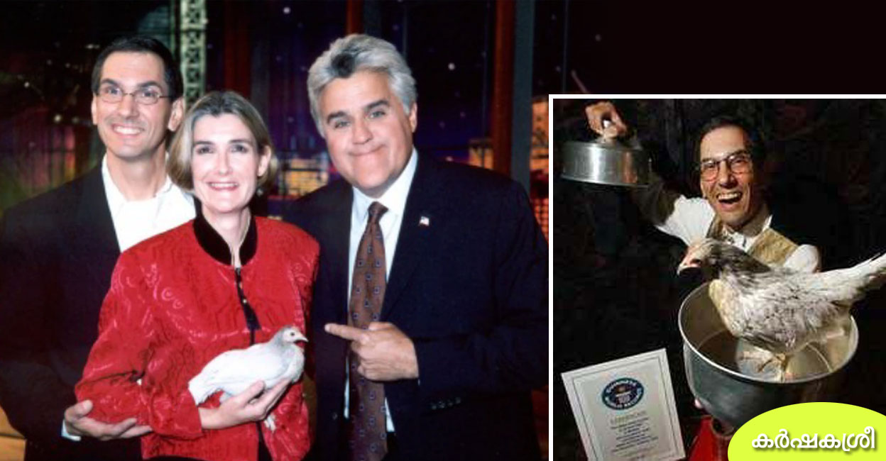 ഒരു കോഴി എത്ര നാൾ ജീവിക്കും? ഗിന്നസ് ബുക്കിൽ കയറിയ മെറ്റിൽഡ, ടിവി ...