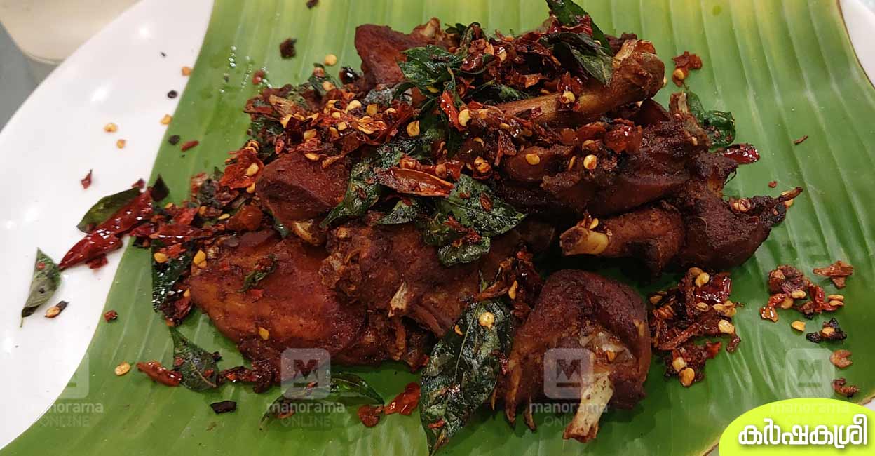 ഇറച്ചിക്കും മുട്ടയ്ക്കും വളർത്താൻ ചാബ്രോ ചിക്കൻ; ഇറച്ചിക്കോഴിക്കും ...