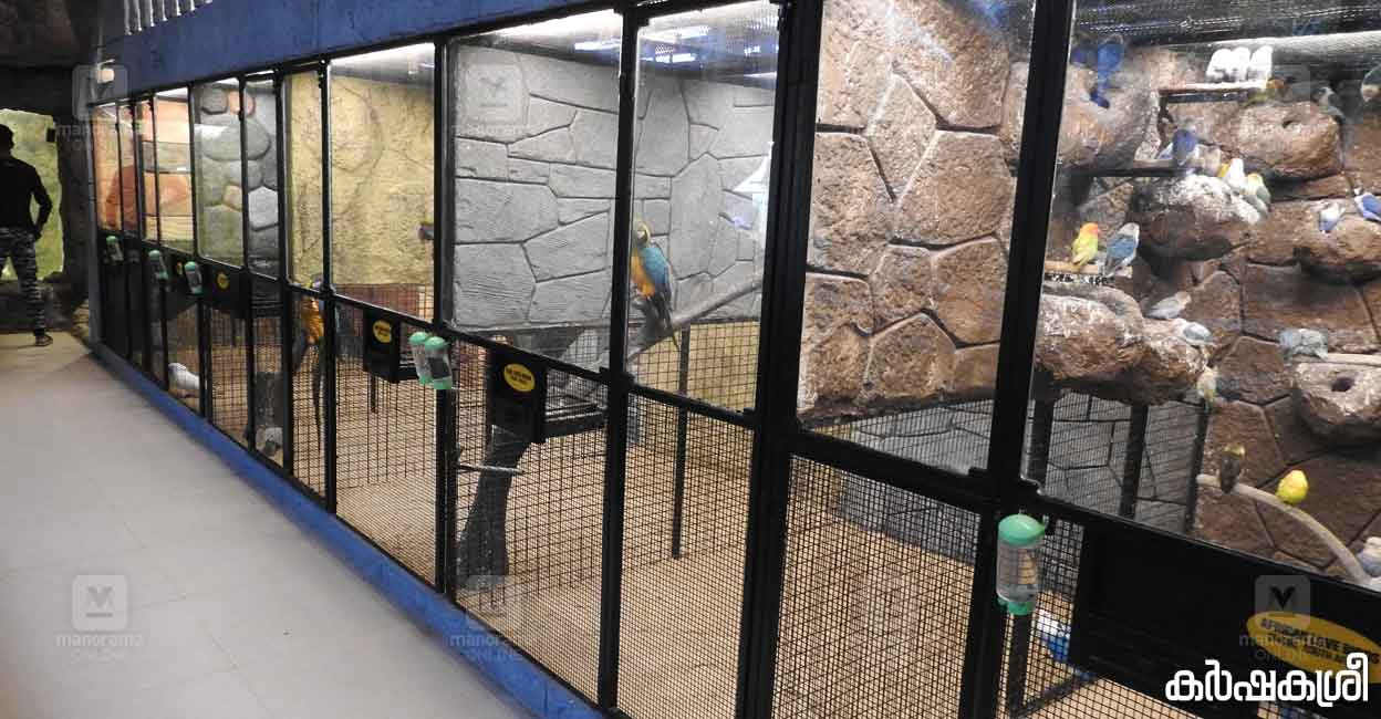 വേറിട്ട അനുഭവമൊരുക്കി യുവാവിന്റെ സ്വകാര്യ അരുമശാല; കാണാം കടപ്പുറത്തെ ...