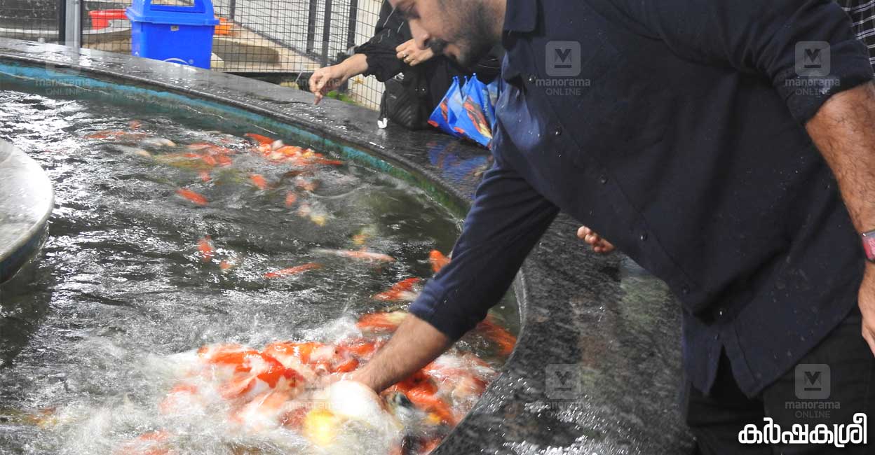 വേറിട്ട അനുഭവമൊരുക്കി യുവാവിന്റെ സ്വകാര്യ അരുമശാല; കാണാം കടപ്പുറത്തെ ...