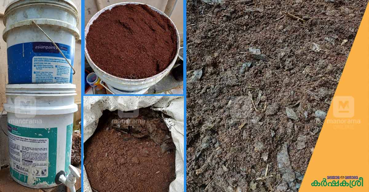 കമ്പോസ്റ്റ് മികച്ച ജൈവവളമാകാൻ ശ്രദ്ധിക്കാം ചില കാര്യങ്ങൾ | How To Make ...