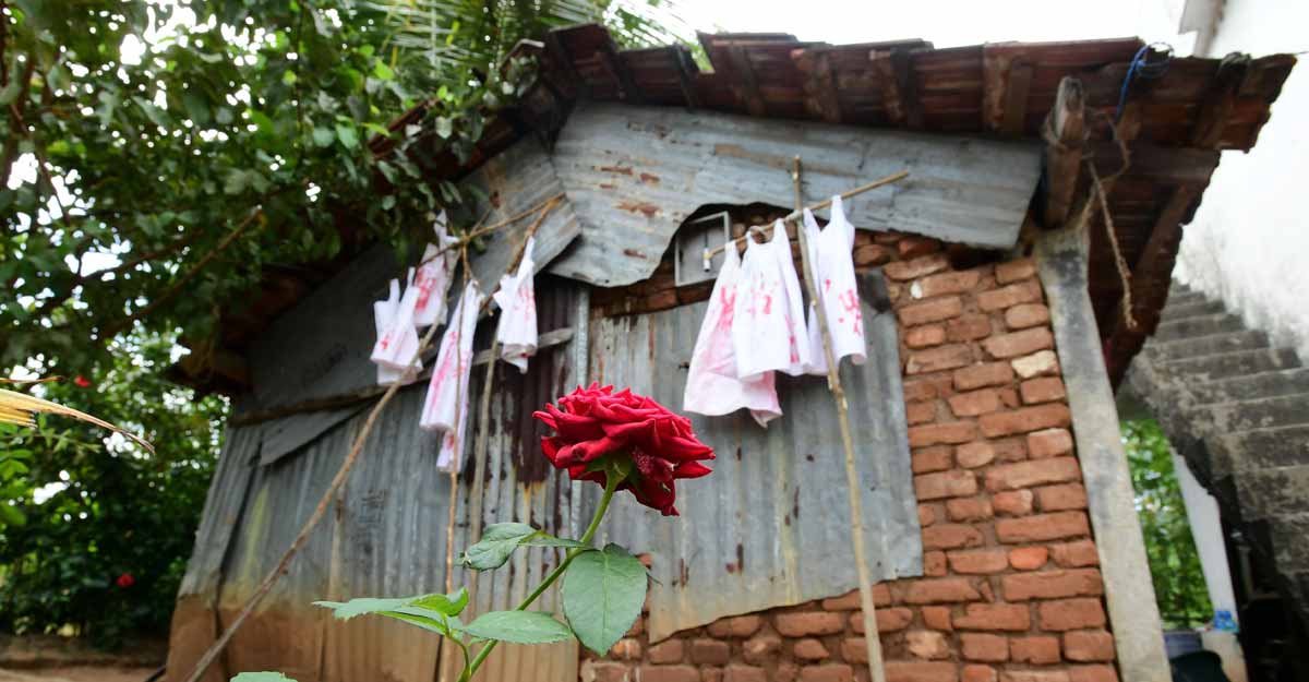 വാളയാർ കേസ് അന്വേഷണം: സംസ്ഥാന സർക്കാരിന്റെ ഉറപ്പു രേഖപ്പെടുത്തി ...