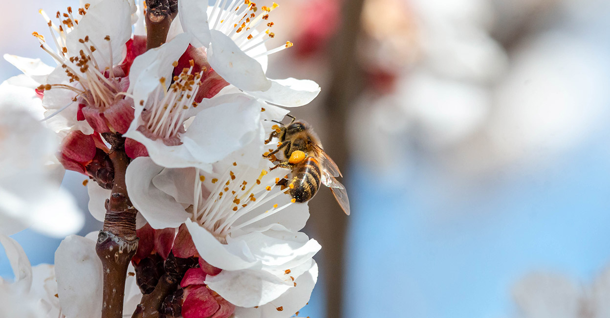 സിൻ നോവൽ നിരൂപണം ഹരിത സാവിത്രി - Sin Novel | Haritha Savithri ...