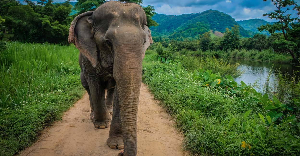 ചില്ലറമോഹം രാകേഷ് നീലകണ്ഠൻ എഴുതിയ കഥ - Short Story | Writers Blog ...