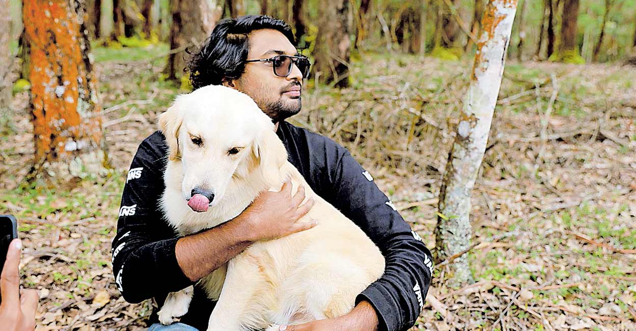 നായ്ക്കൾക്കായി എസി കാരവൻ, മൂഡ് അനുസരിച്ച് ചിത്രീകരണം: ‘വാലാട്ടി ...