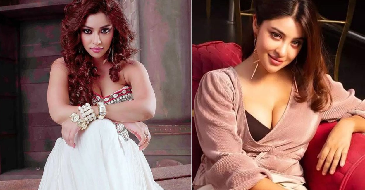 വലിയ സിനിമകൾ ലഭിക്കണമെങ്കിൽ കൂടെ കിടക്കണം: പായൽ ഘോഷിന്റെ വെളിപ്പെടുത്തൽ | Payal Ghosh Bollywood