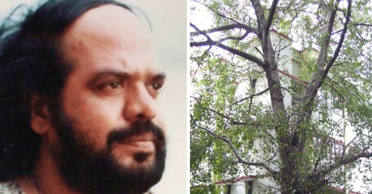 വൈശാലിയിലെ രാജാവായി ആദ്യം കരാർ ചെയ്തത് മറ്റൊരു നടനെ; ‘ഭരതൻ കാണിച്ച ...