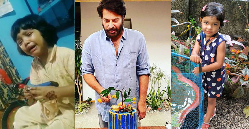 കോവിഡൊന്ന് കഴിയട്ടെ; പീലിയോട് മിണ്ടാൻ മമ്മൂട്ടി എത്തും | Peeli Mammootty