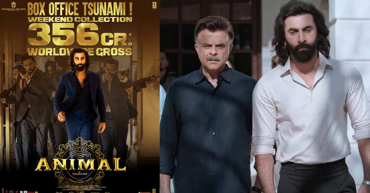 നിരൂപകരും തള്ളി, വിമർശനവും കടുത്തു; 350 കോടിയുമായി ‘അനിമൽ’ കുതിക്കുന്നു ...