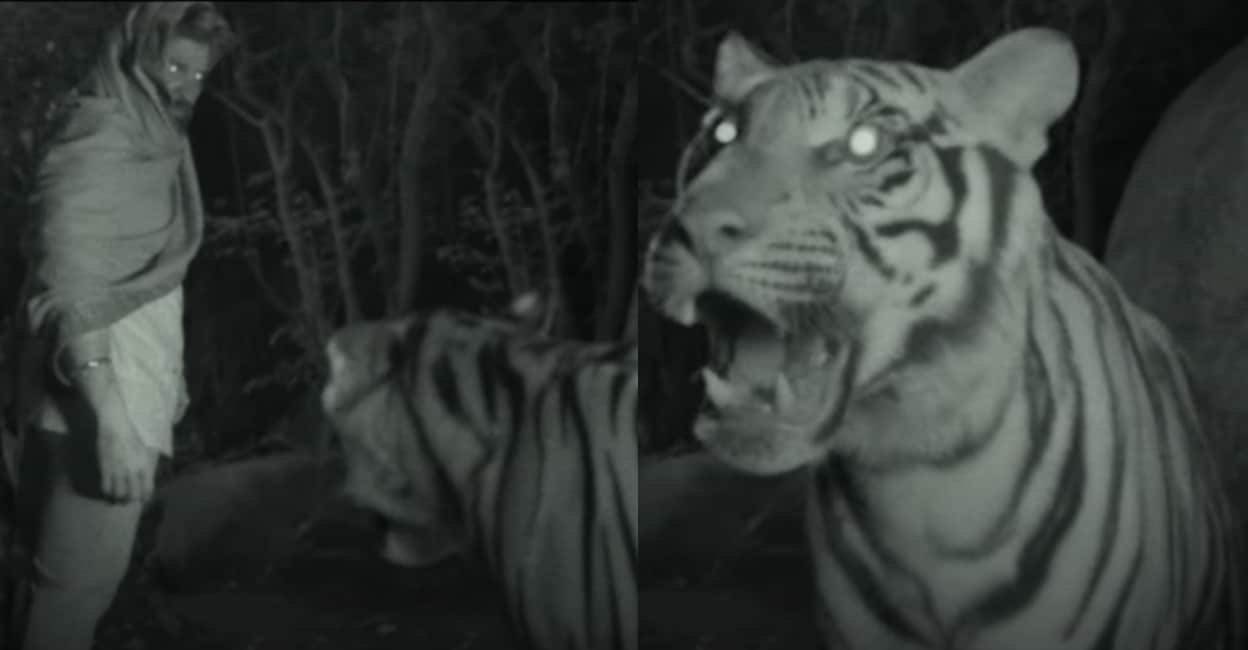 പുഷ്പയുടെ മുന്നിൽ കടുവ പോലും വിറച്ചു; പ്രമൊ വിഡിയോ പുറത്ത് | Pushpa 2 ...