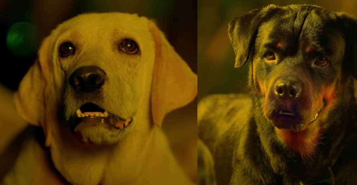നായ്ക്കൾക്ക് ശബ്ദം നൽകി മുൻനിര താരങ്ങൾ; ‘വാലാട്ടി’ ട്രെയിലർ | Valatty ...