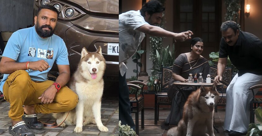 ഉണ്ണി മുകുന്ദൻ വാ പിളർത്തുന്ന ആ നായ; മാർക്കോയിലൂടെ താരമായി റാംബോ | Unni ...