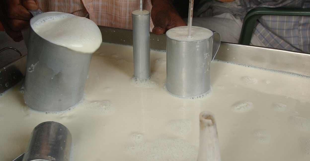 പാൽ വിപണനം: കൂടുതൽ കേന്ദ്രങ്ങൾക്ക് സാധ്യത | milk | milk products | milk ...