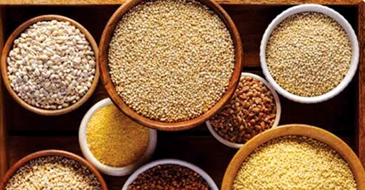 മില്ലറ്റ് വർഷം 2023: ലഘു സംരംഭകർക്ക് അവസരങ്ങൾ- Millet Year 2023 ...