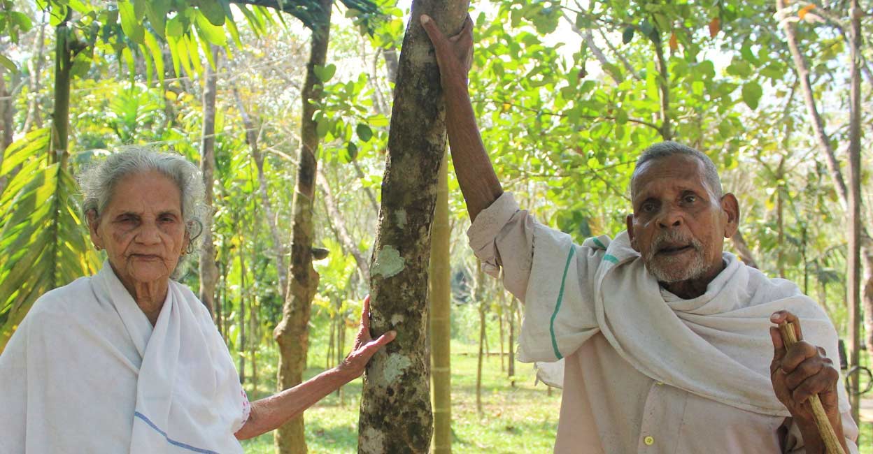 വലിഞ്ഞുകയറി വന്നവരല്ല ഞങ്ങൾ,വിളിച്ചുവരുത്തിയവർ- Hill people who have lost their livelihood due ...