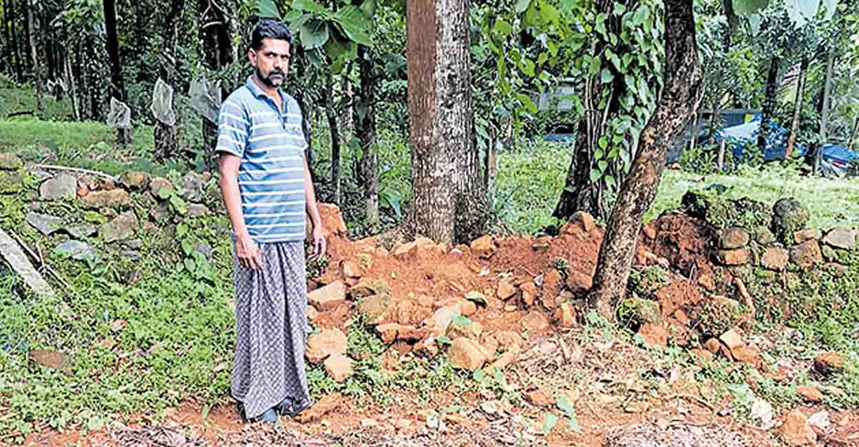 ഡെയ്ഞ്ചർ സോണ്‍ - Buffer Zone Kerala Forest | Manorama Online