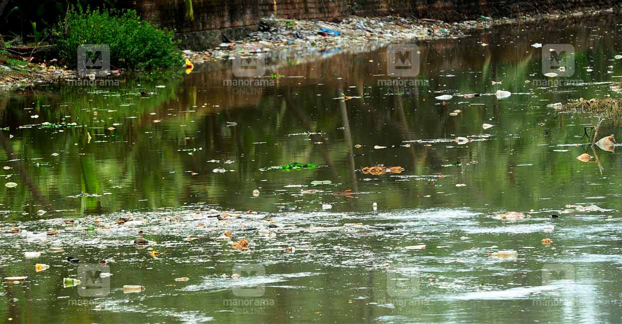 മാലിന്യം തള്ളാനല്ല പുഴകൾ | River Pollution | Water Pollution | Manorama