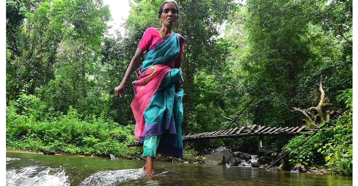 അറിവിന്റെ നിറവ് | Teachers Day | Teacher | Manorama