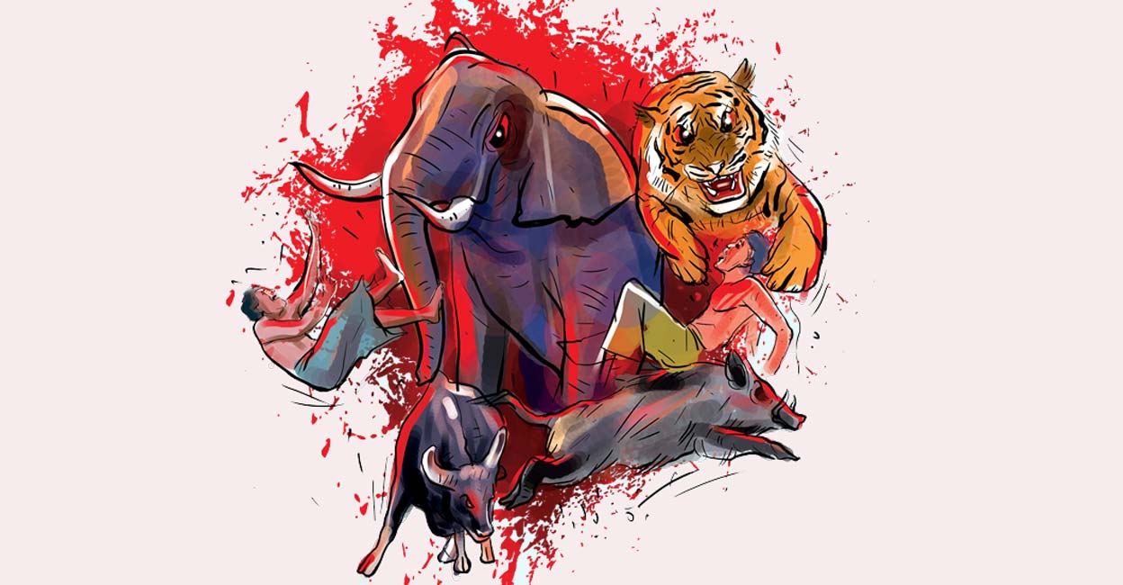Animal Attack In Kerala | Kerala Elephant Attack Latest News | Bear ...