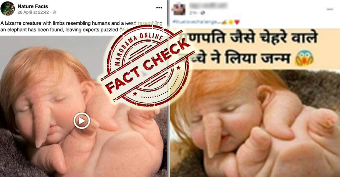 'കുഞ്ഞിന് ഗണേശരൂപം' സമൂഹ മാധ്യമങ്ങളിൽ പ്രചരിക്കുന്ന ചിത്രം: സത്യമിതാണ് ...