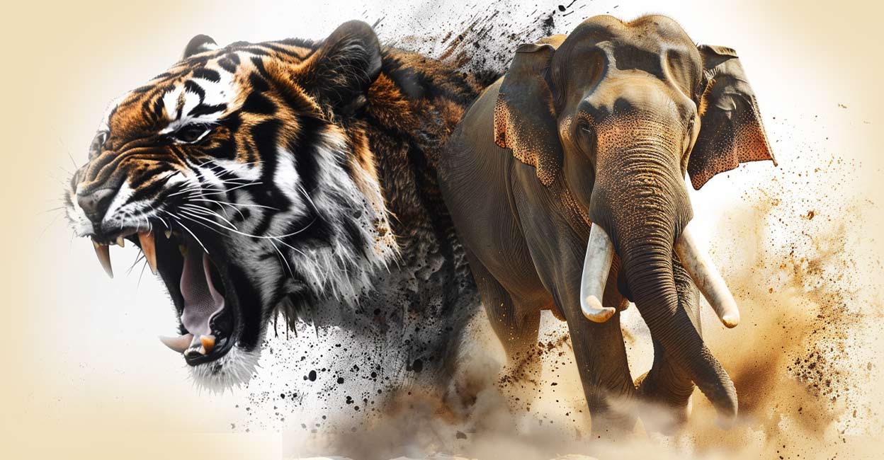 Animal Attack In Kerala | Kerala Elephant Attack Latest News | Bear ...