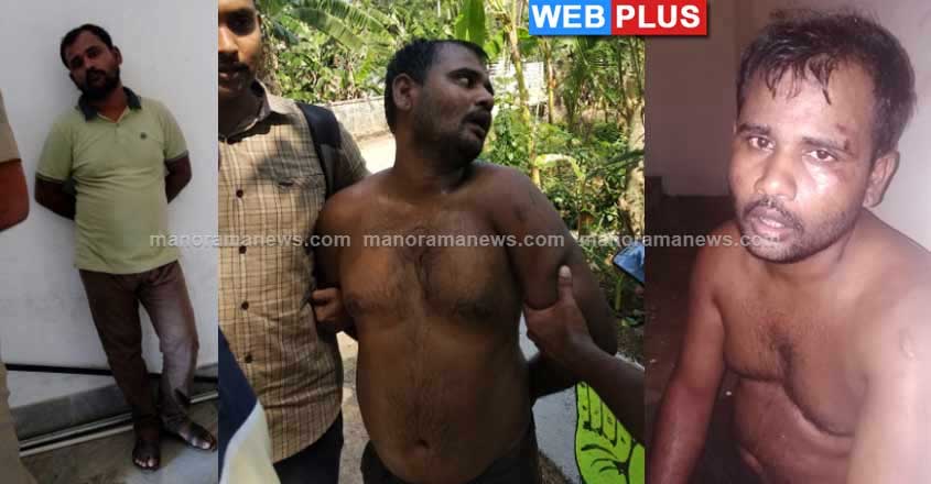 വിലങ്ങുമായി ട്രെയിനില്‍ നിന്ന് ചാടി; കൈ ഉടുതുണിയില്‍ മറച്ചു | Crime ...