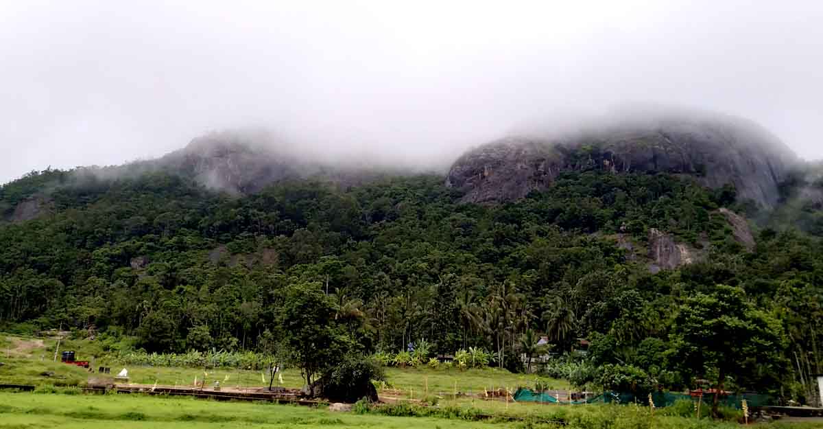 വനത്തിന് 10 കിലോമീറ്റ‍ർ ‘രക്ഷാവലയം’; ആശങ്കയൊഴിയാതെ മലയോര മേഖല | Buffer Zone Kerala | Manorama Online