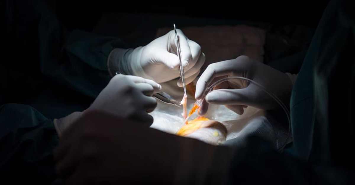 ഏജന്റുമാർക്കു വൻ പ്രതിഫലം: അവയവം നൽകിയവർക്ക് ചെറിയ തുക | organ ...