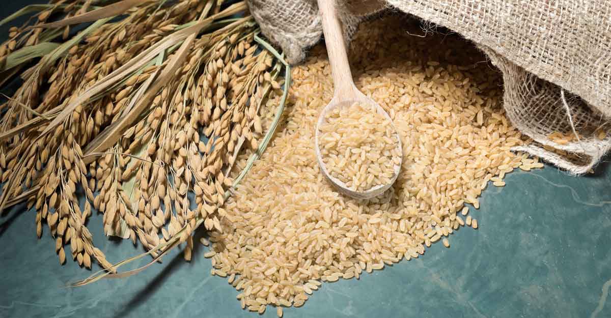 കേന്ദ്രത്തിന്റെ സൗജന്യ റേഷൻ ഇന്നുമുതൽ | Ration | Manorama News