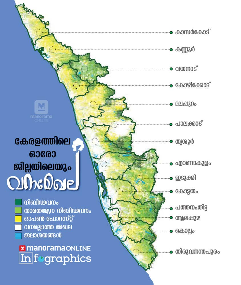 Kerala Wildfire 2020 | കാട്ടുതീയിൽ മാഞ്ഞ ജീവിതങ്ങൾ | Kerala Forest Fire ...