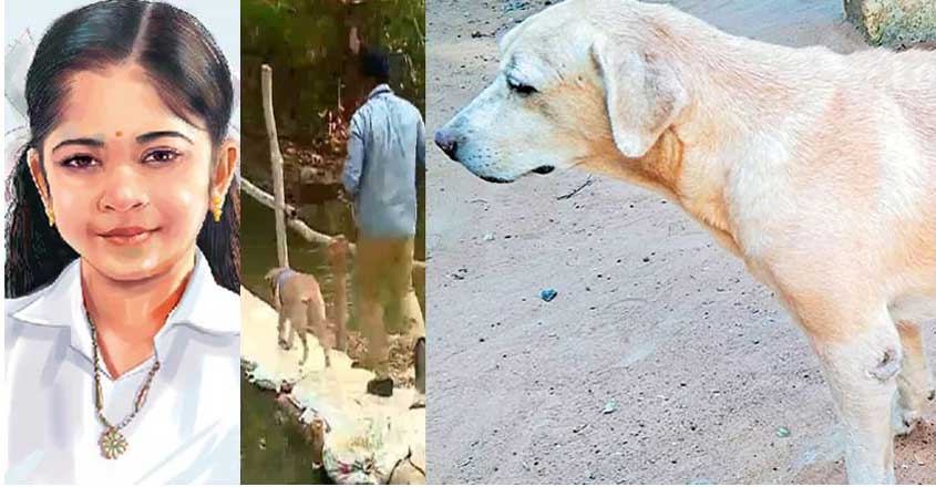 പിൻവാതിൽ വഴി ഇറങ്ങി ഓടി; ദേവനന്ദ പോയ വഴി അന്നേ കണ്ടെത്തിയ റീന | Kollam ...