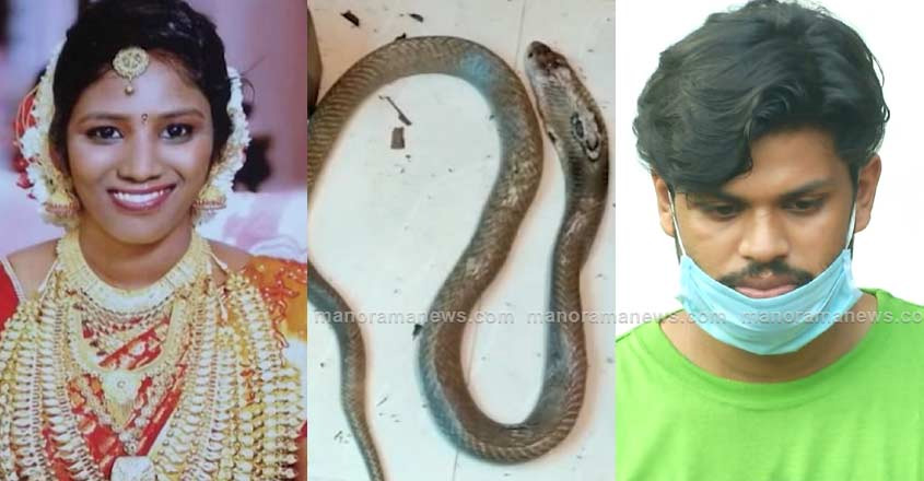 100 പവൻ, ബലേനോ കാർ, 5 ലക്ഷം രൂപ: ഉത്തരമില്ലാതെ ഉത്രയുടെ അച്ഛൻ | Viral ...