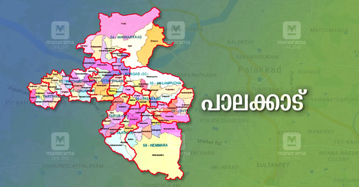 വാഹനത്തിലേക്ക് നടക്കുന്നതിനിടെ പ്രസവിച്ച യുവതിയുടെ കുഞ്ഞു മരിച്ചു ...