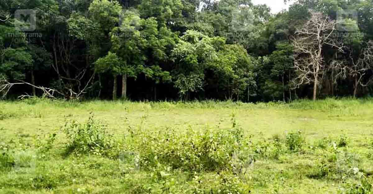 വയനാട് പരിസ്ഥിതി മേഖലയ്ക്കായി ശുപാർശ നൽകിയത് സംസ്ഥാന സർക്കാർ: കേന്ദ്രം | Buffer zone Wayanad ...