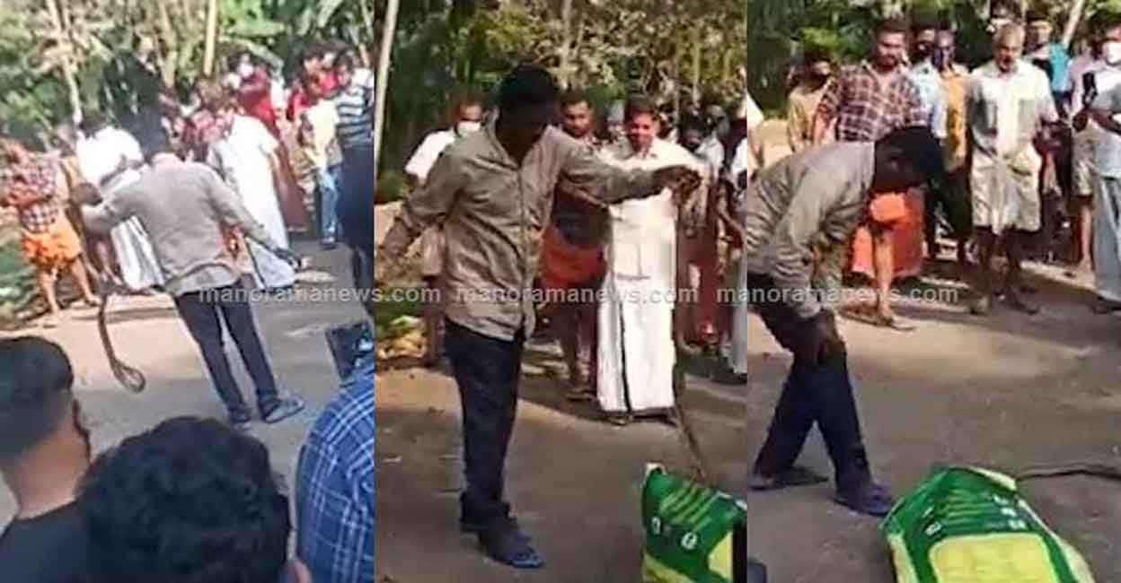 Vava Suresh returns to life | Vava Suresh – Archyde