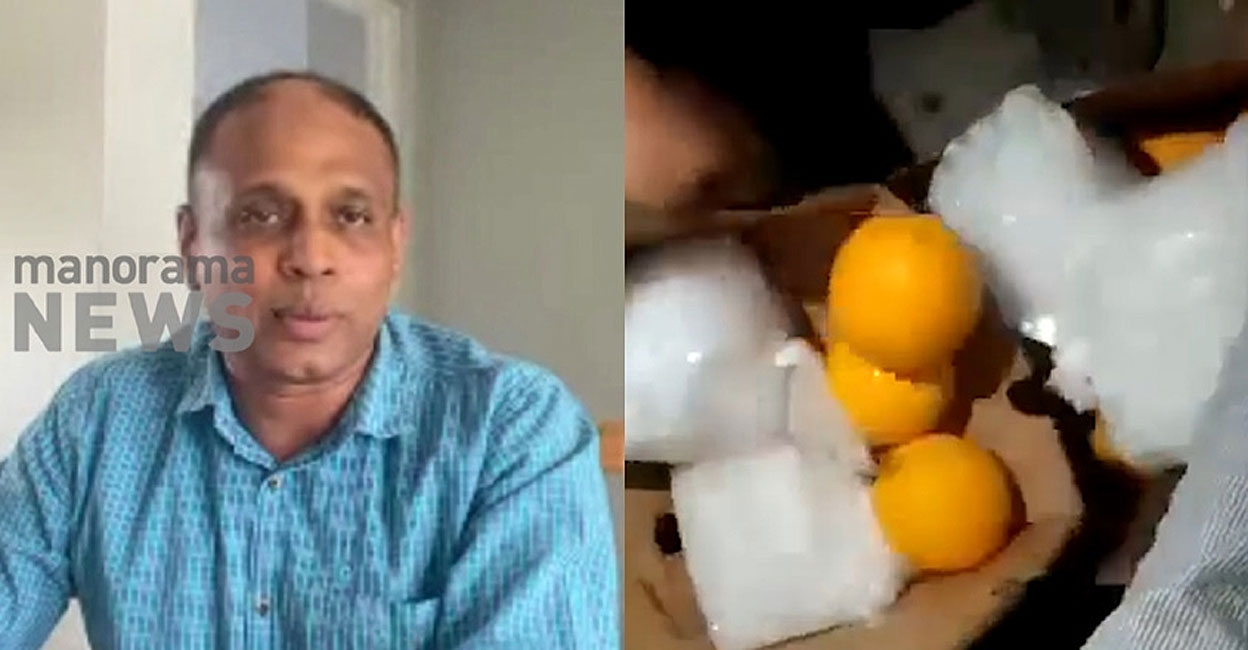 പഴമായി പലതവണ ലഹരി എത്തി - Drugs import to Kerala | Malayalam News ...