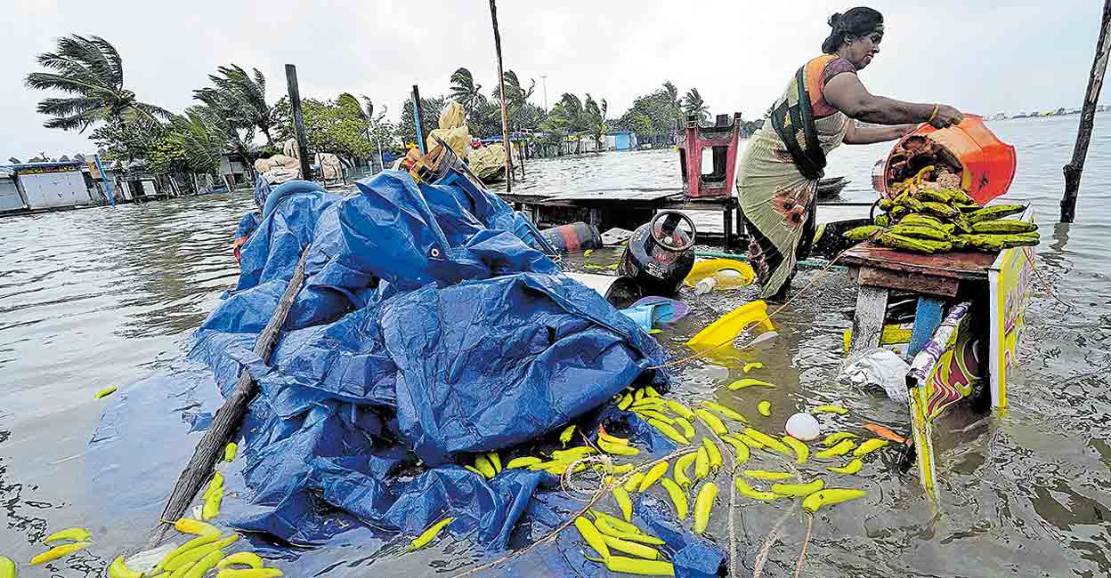 മാൻഡോസിൽ കുലുങ്ങാതെ തമിഴകം; മാതൃകയായി രക്ഷാപ്രവർത്തനം - Cyclone Mandous ...