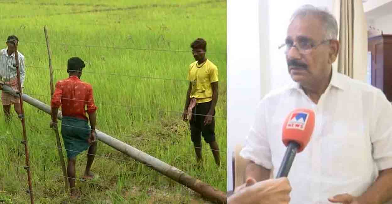 അടിമുടി ആശയക്കുഴപ്പവുമായി ബഫര്‍സോണ്‍ സർവേ; പ്രശ്നം പരിഹരിക്കാൻ സർക്കാർ നീക്കം– Buffer Zone ...