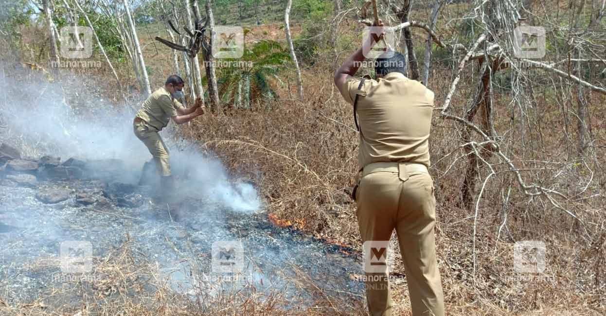 കുടുക്കപ്പാറയ്ക്ക് സമീപം വീണ്ടും തീപിടിത്തം; 4 ഏക്കറിലെ കൃഷി നശിച്ചു ...