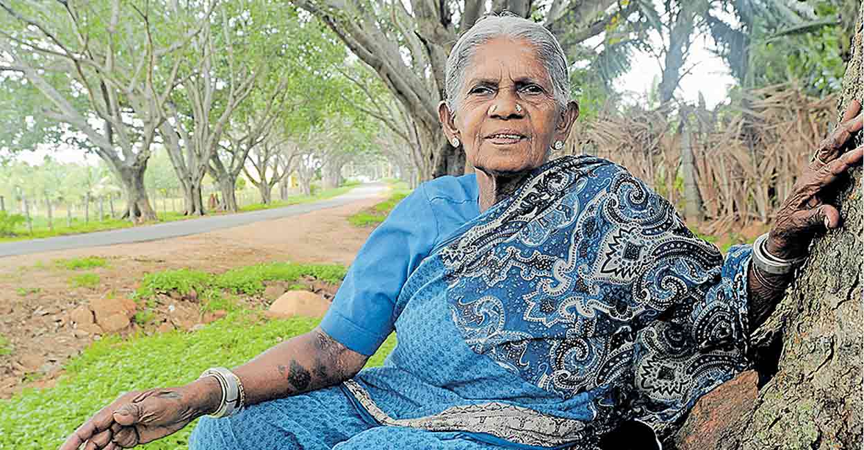 പരിസ്ഥിതി അമ്മൂമ്മ ഇനി ‘സഹമന്ത്രി’ | Saalumarada Thimmakka | Manorama News