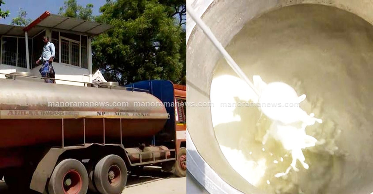 മായം കലർത്തിയ 12,700 ലീറ്റർ പാൽ അതിർത്തിയിൽ പിടികൂടി - Milk | Urea ...
